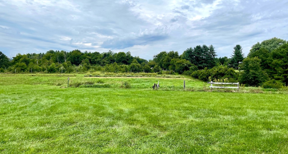 Connecting to the Land at Fox Haven Farm – Julia Eats