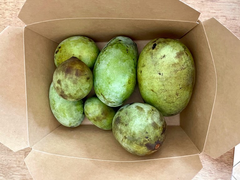 What is a Pawpaw and Where Have They Been All My Life? – Julia Eats